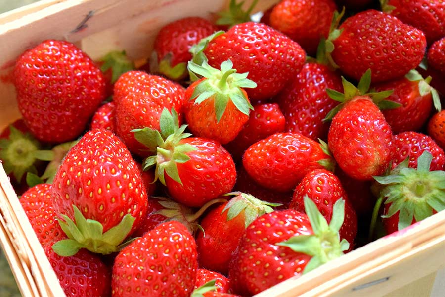 Fête de la fraise à Beaulieu-sur-Dordogne : tarte géante, marchés de ...