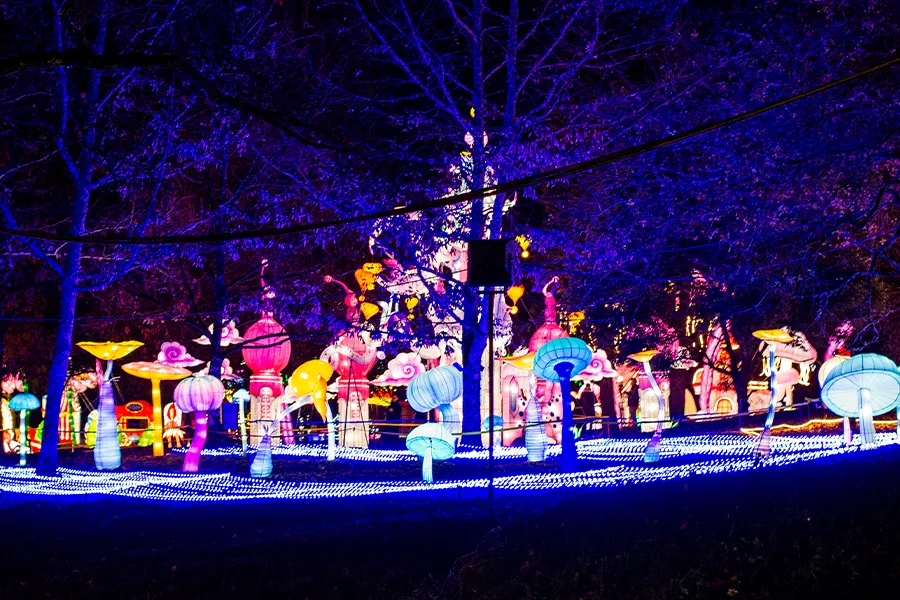 La nuit venue, la "Féérie des lanternes" va illuminer les visiteurs du ...